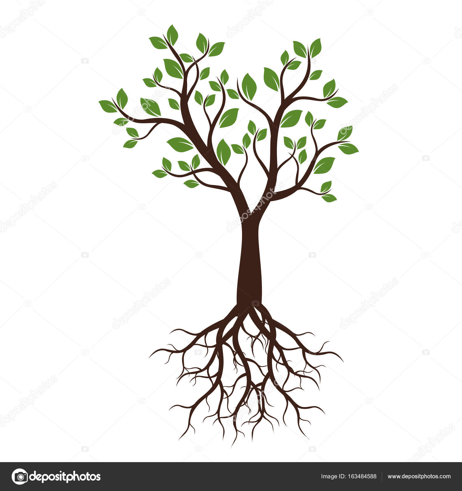 Summer Tree. Vector Illustration. Stock Vector by ©rolandtopor 163484588