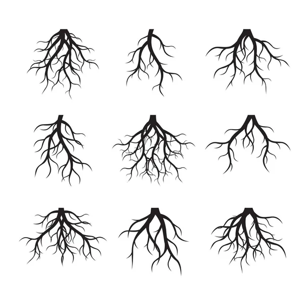 Set of Black Roots. Vector Illustration. Stock Vector Image by ...