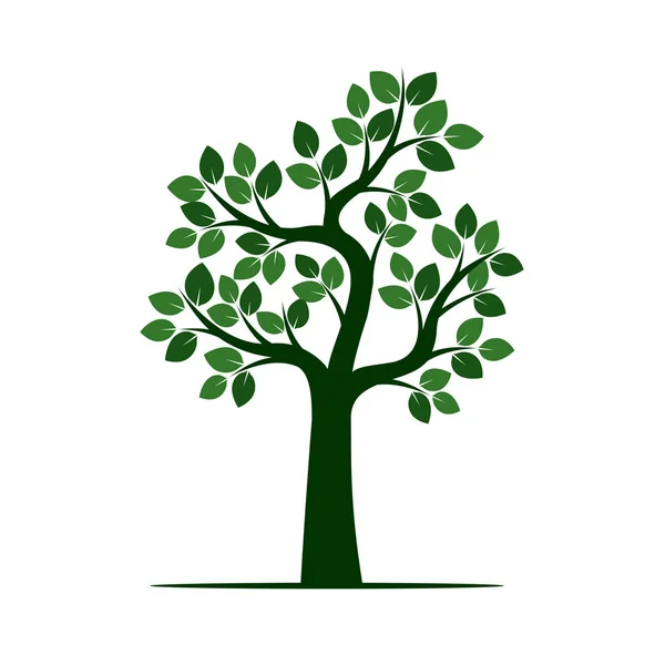 Spring tree — Stock Vector © Studiobarcelona #26032967