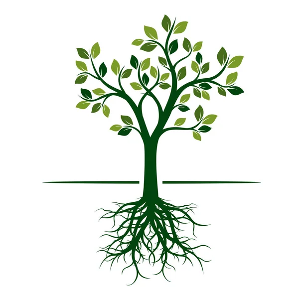 Color Tree with Roots. Vector Illustration. — Stock Vector ...