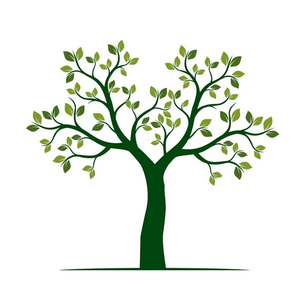 Green Tree and Leafs. Vector Illustration. Stock Vector Image by ...