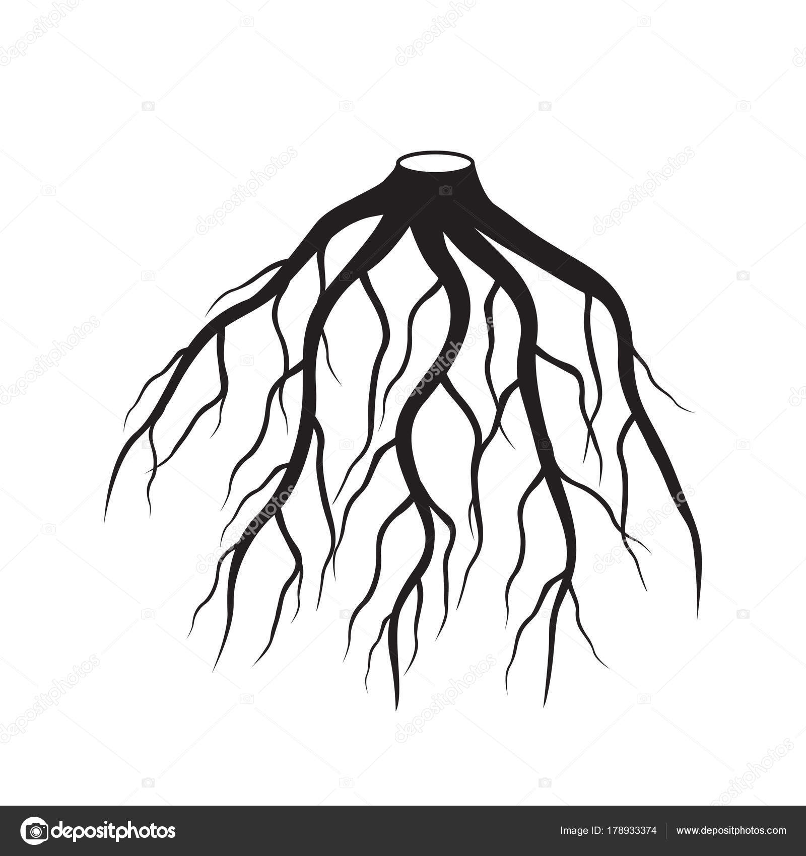 Árbol de raíces negras. Ilustración de vector — Vector de stock ...