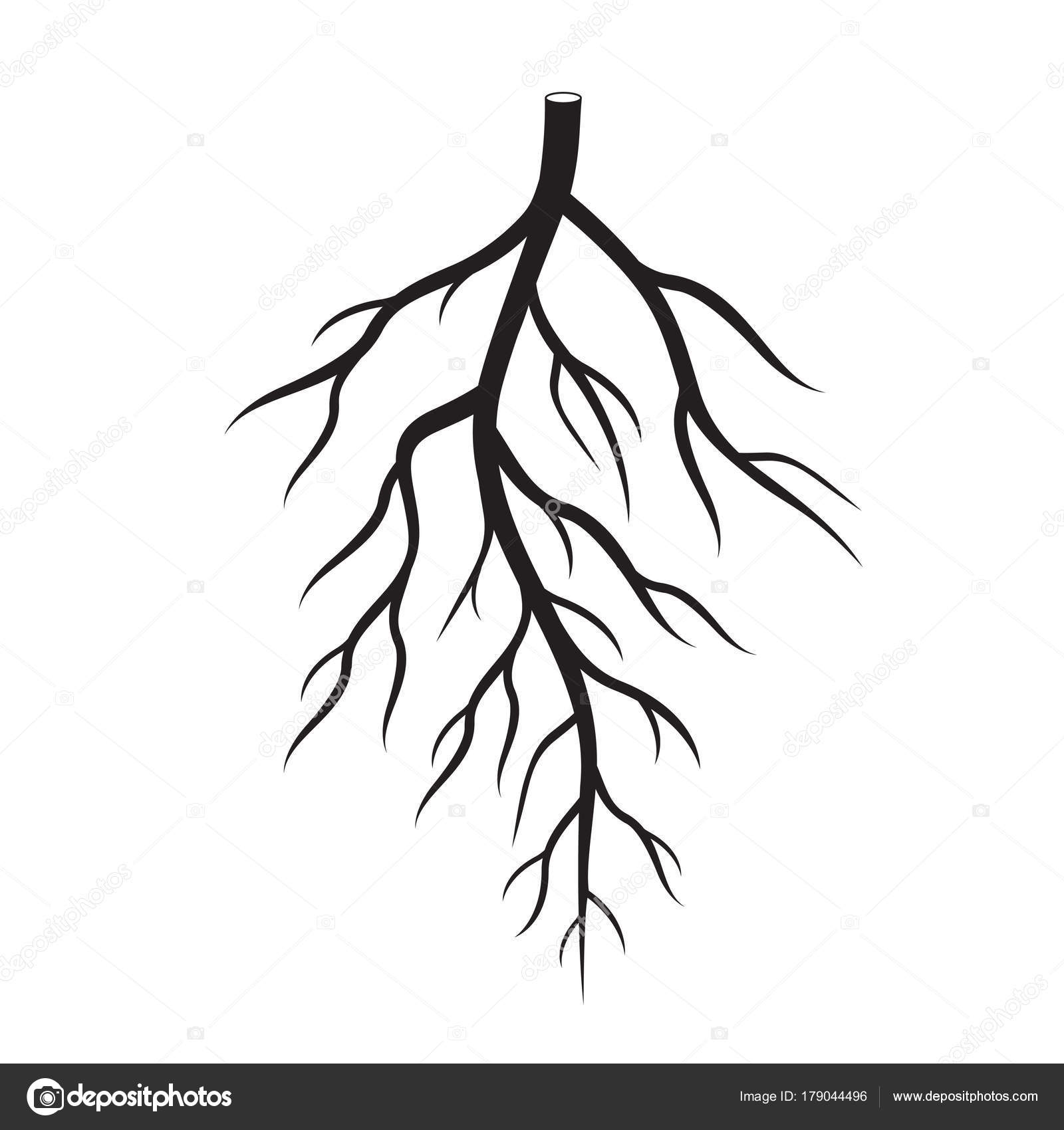 Black Roots Tree. Vector Illustration. Stock Vector by ©rolandtopor ...
