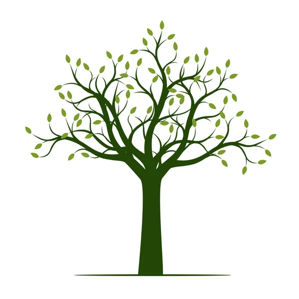 Spring tree, vector Stock Vector Image by ©NikitinaOlga #10863243