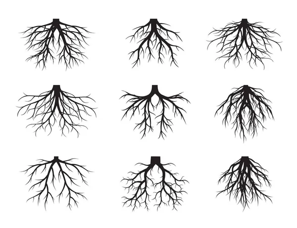 Set Black Tree Roots Vector Outline Illustration Plant Garden Stock ...