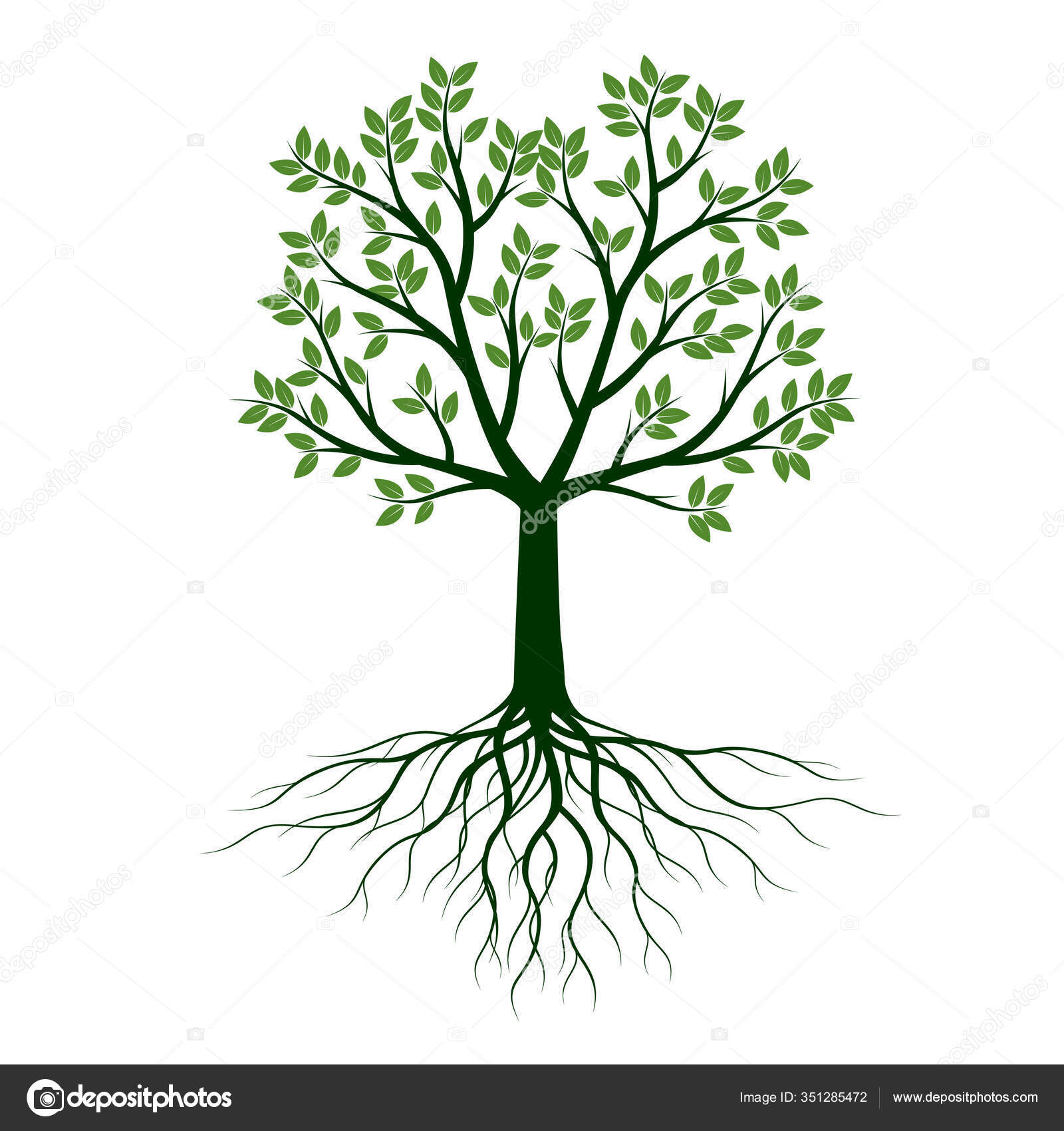 Green Shape Tree Leaves Roots Vector Outline Illustration Plant Garden ...