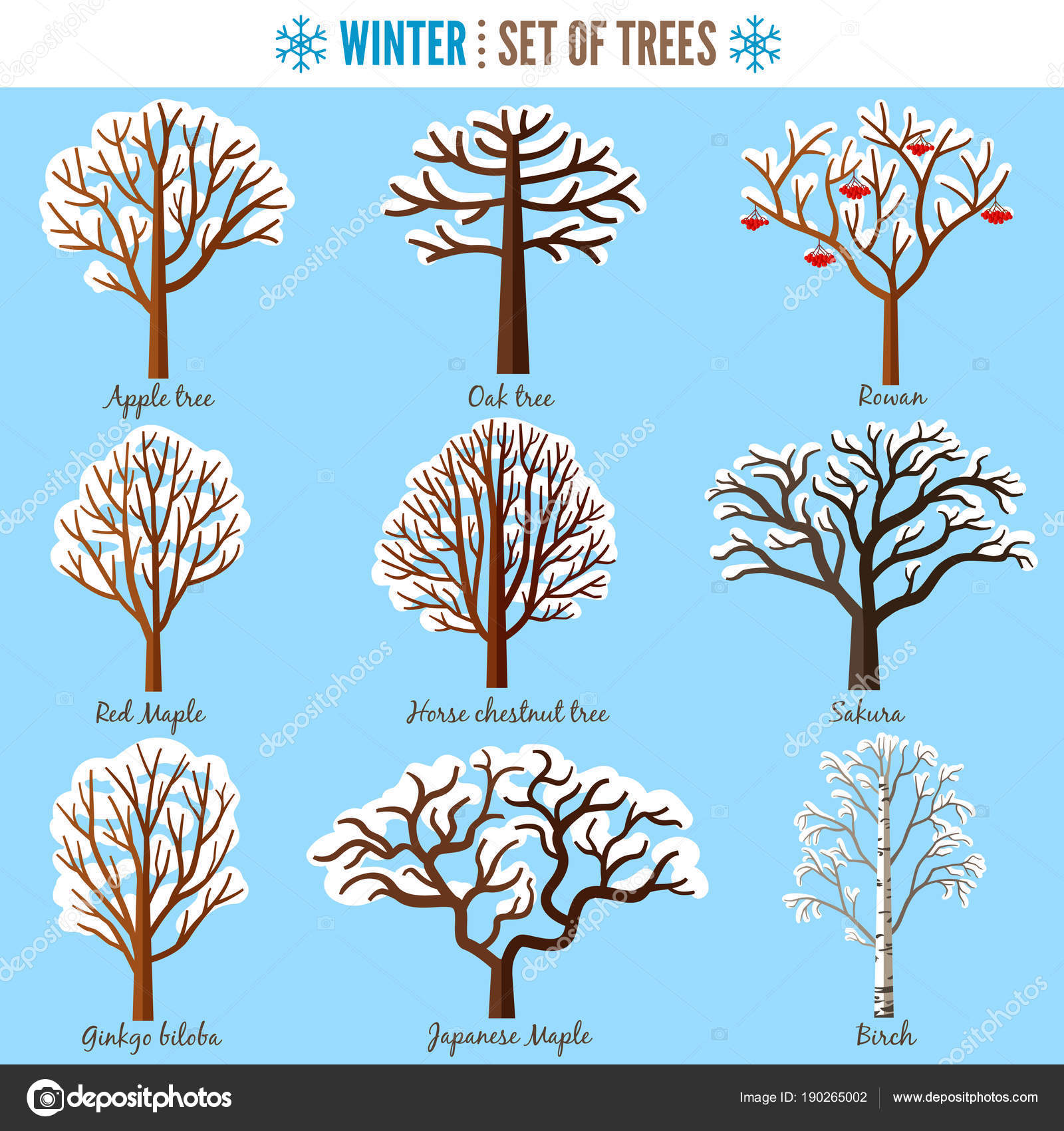 Winter Tree Illustration