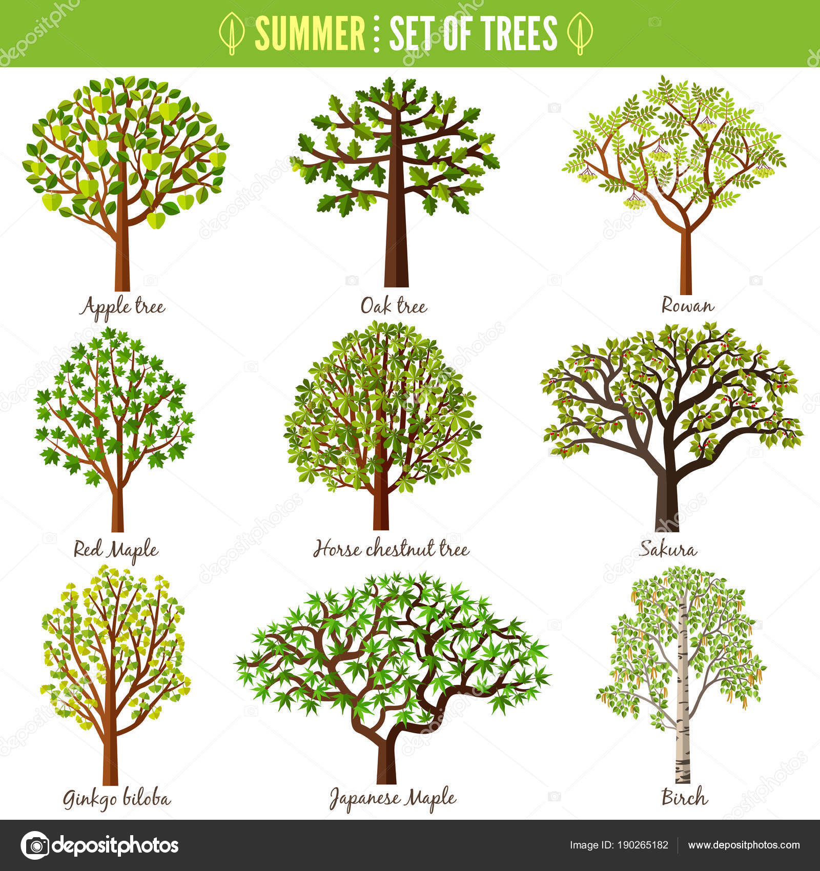 Summer Trees Background