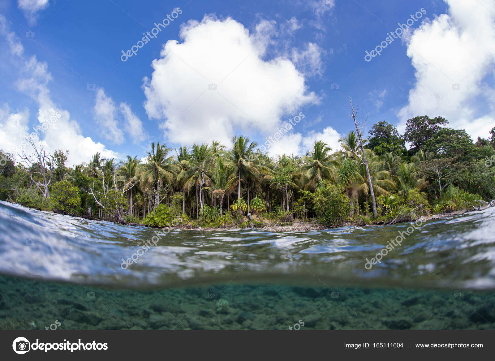 Idyllic Tropical Pacific Island — Stock Photo © ead72 #165111604