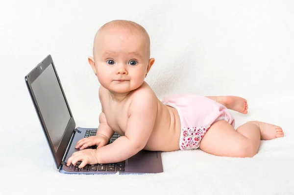A baby using laptop Stock Photos, Royalty Free A baby using laptop ...