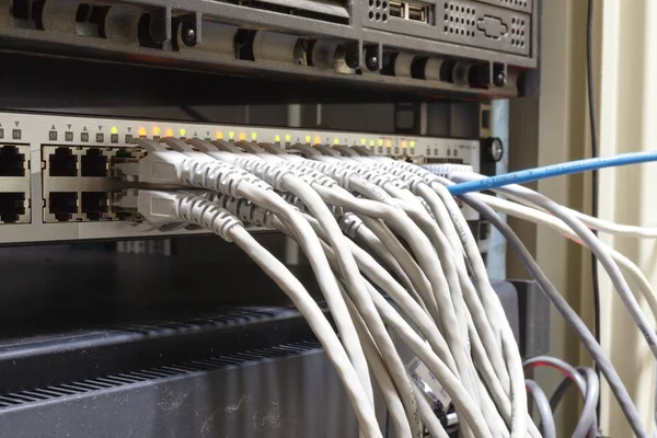 Patch Panel server rack with gray cords in the background - Stock Image ...