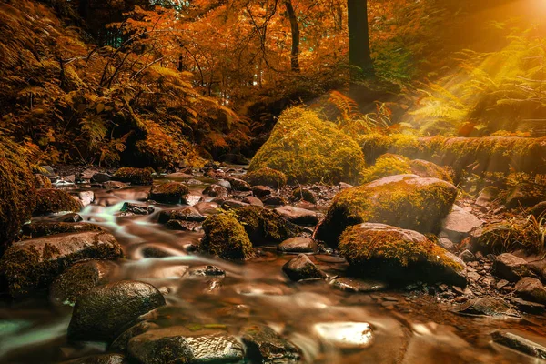 Forest waterfall sunlight Stock Photos, Royalty Free Forest waterfall ... Forest waterfall sunlight Stock Photos, Royalty Free Forest waterfall ...