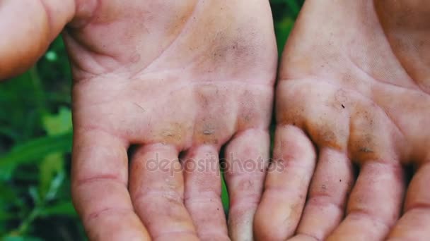 Calloused hands of a man who has worked all his life in the field with ...