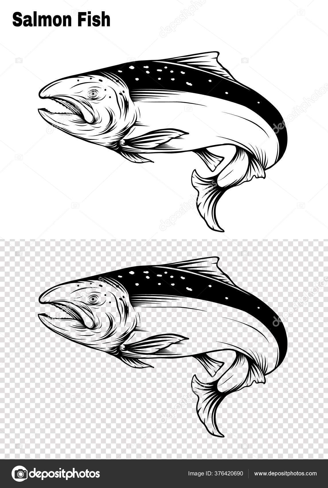Salmon Art Highly Detailed Line Art Style Fish Vector Hand — Stock ...