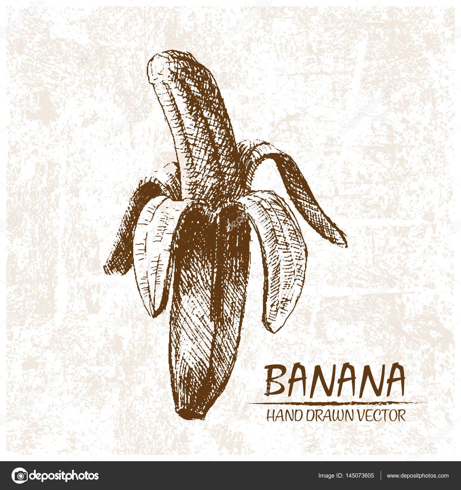 Digital vector detailed banana hand drawn Stock Vector Image by ...