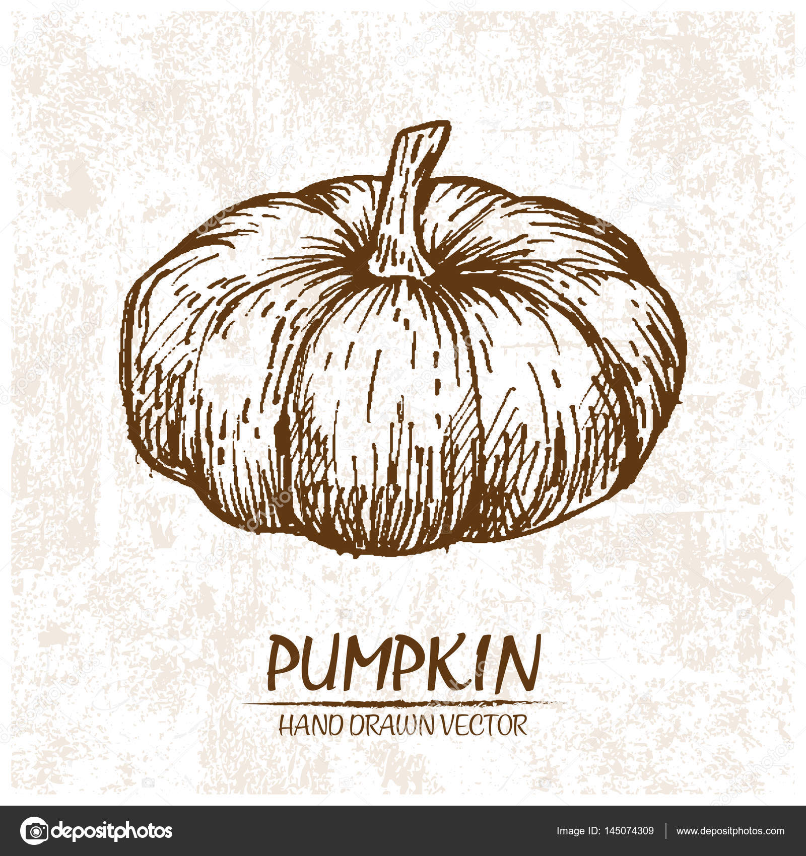 Digital vector detailed pumpkin hand drawn Stock Vector by ©frimufilms ...