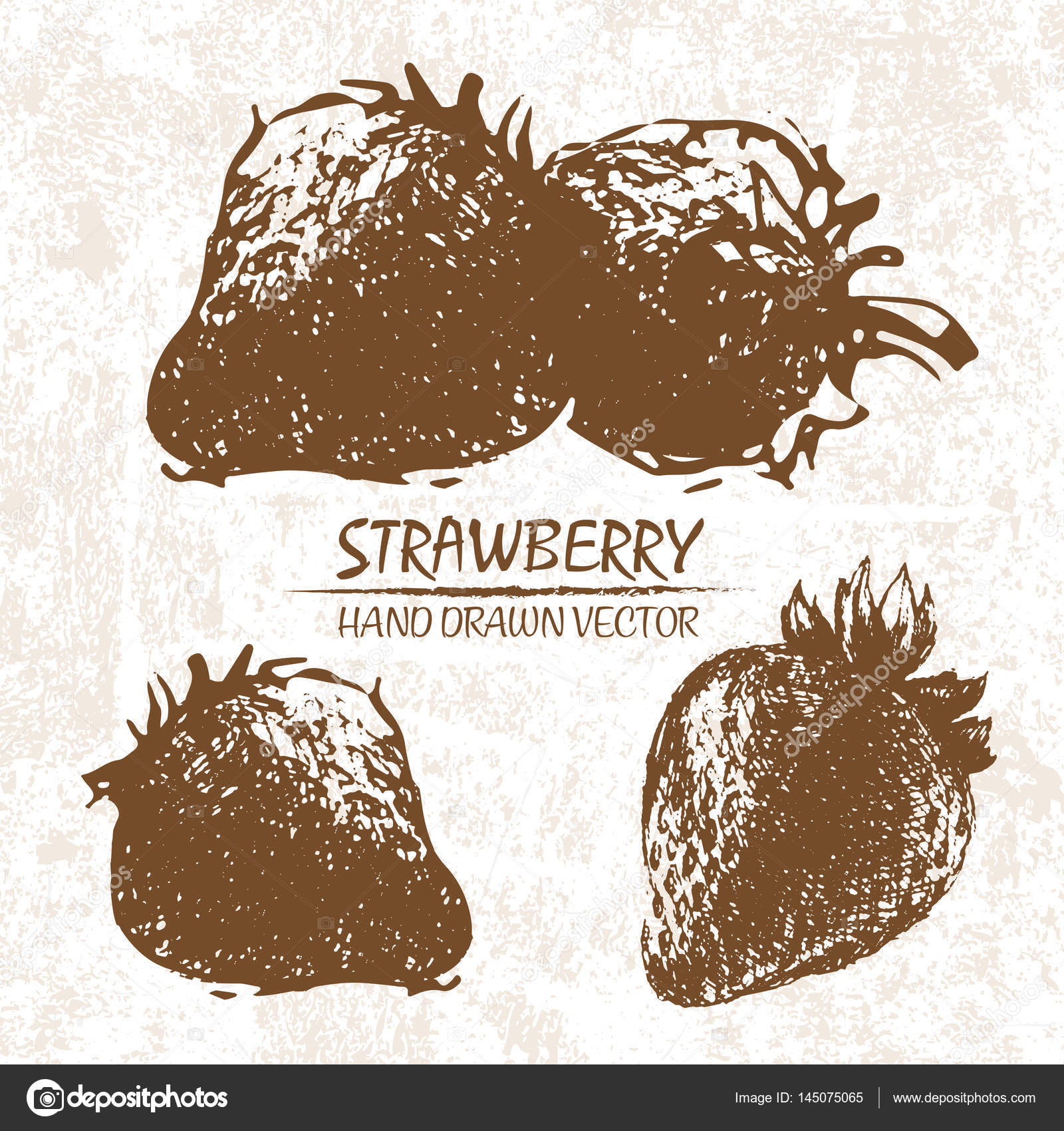 Digital vector detailed strawberry hand drawn Stock Vector by ...