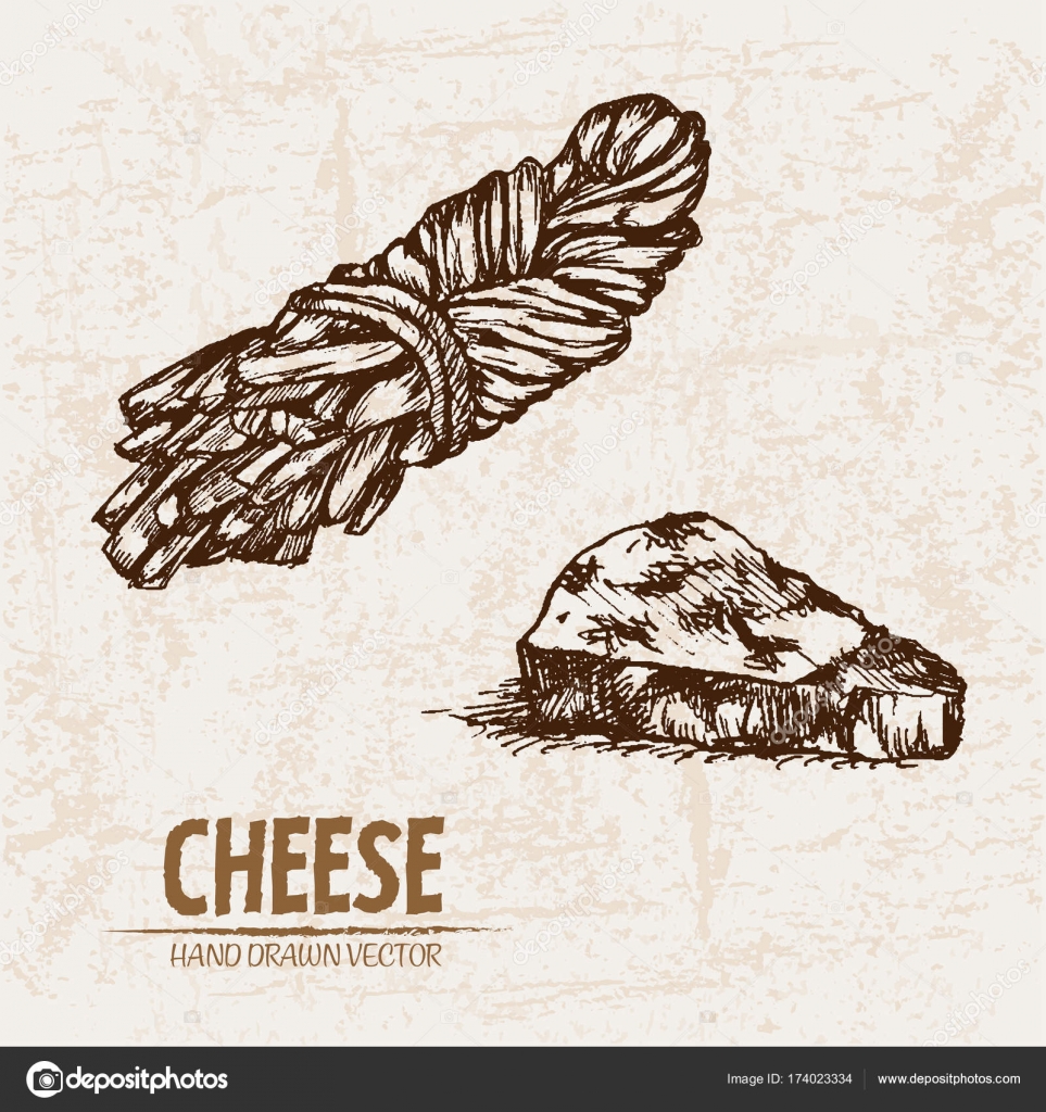 Digital vector detailed line art cheese braid Stock Vector Image by ...