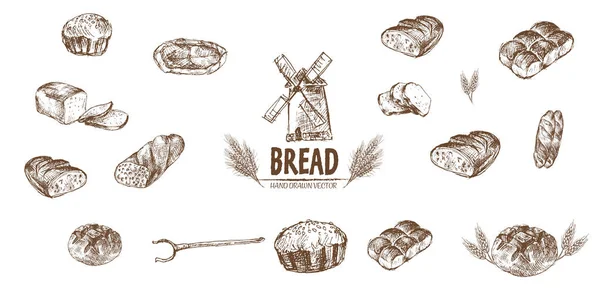 Digital vector detailed line art bakery Stock Vector Image by ...