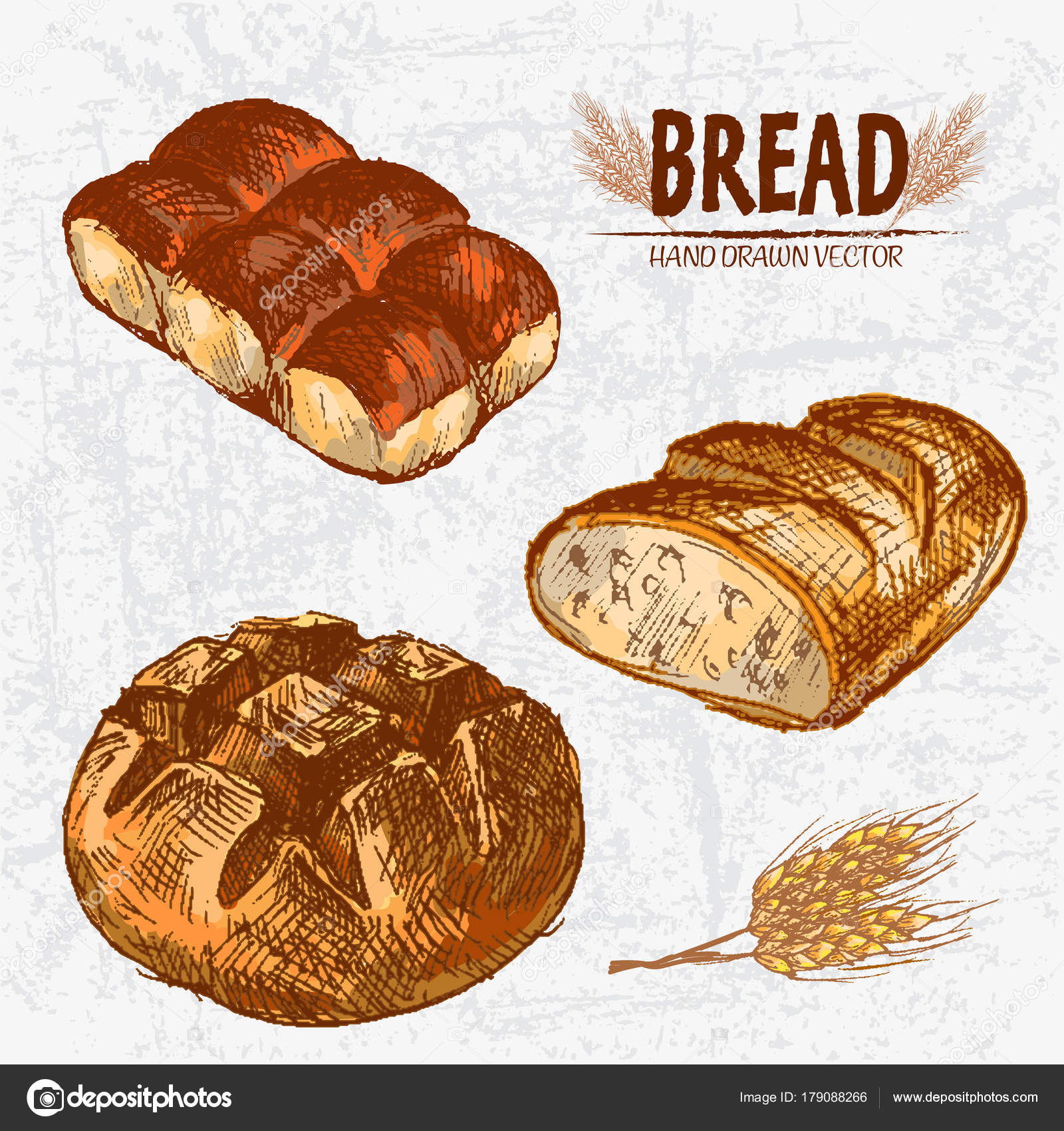 Digital color vector detailed line art golden Stock Vector Image by ...