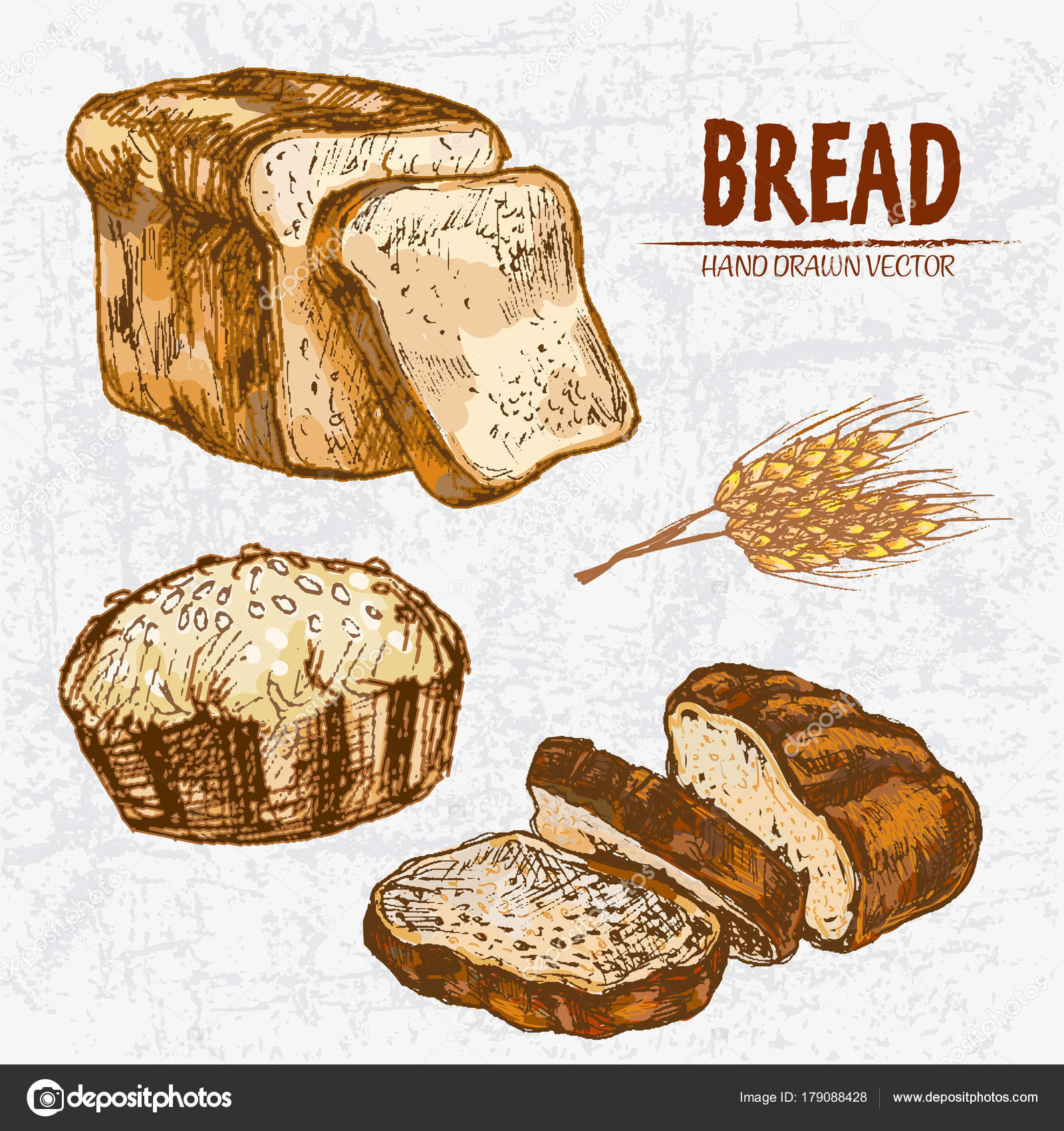 Digital color vector detailed line art golden Stock Vector Image by ...