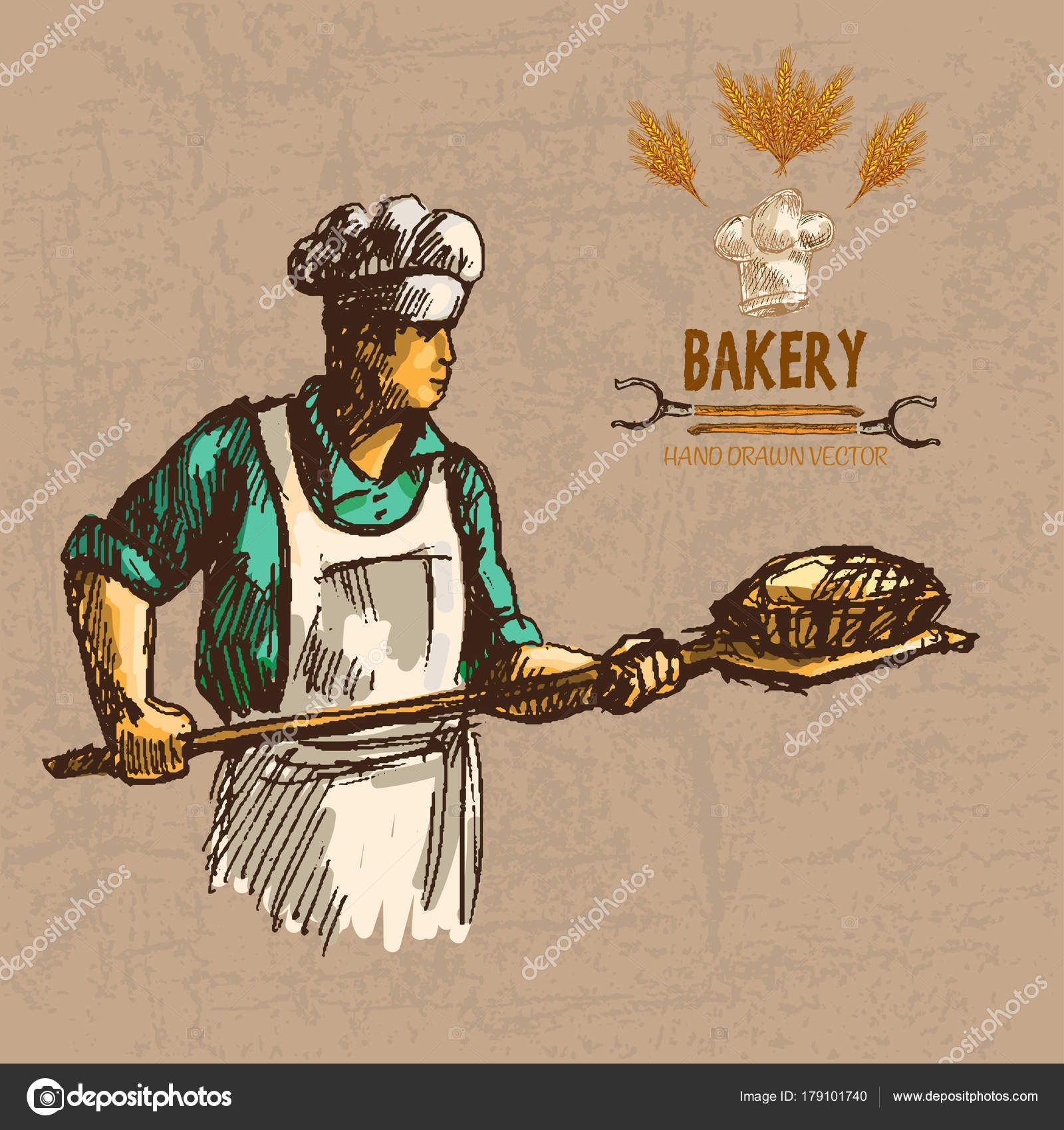 Digital color vector detailed line art baker Stock Vector Image by ...