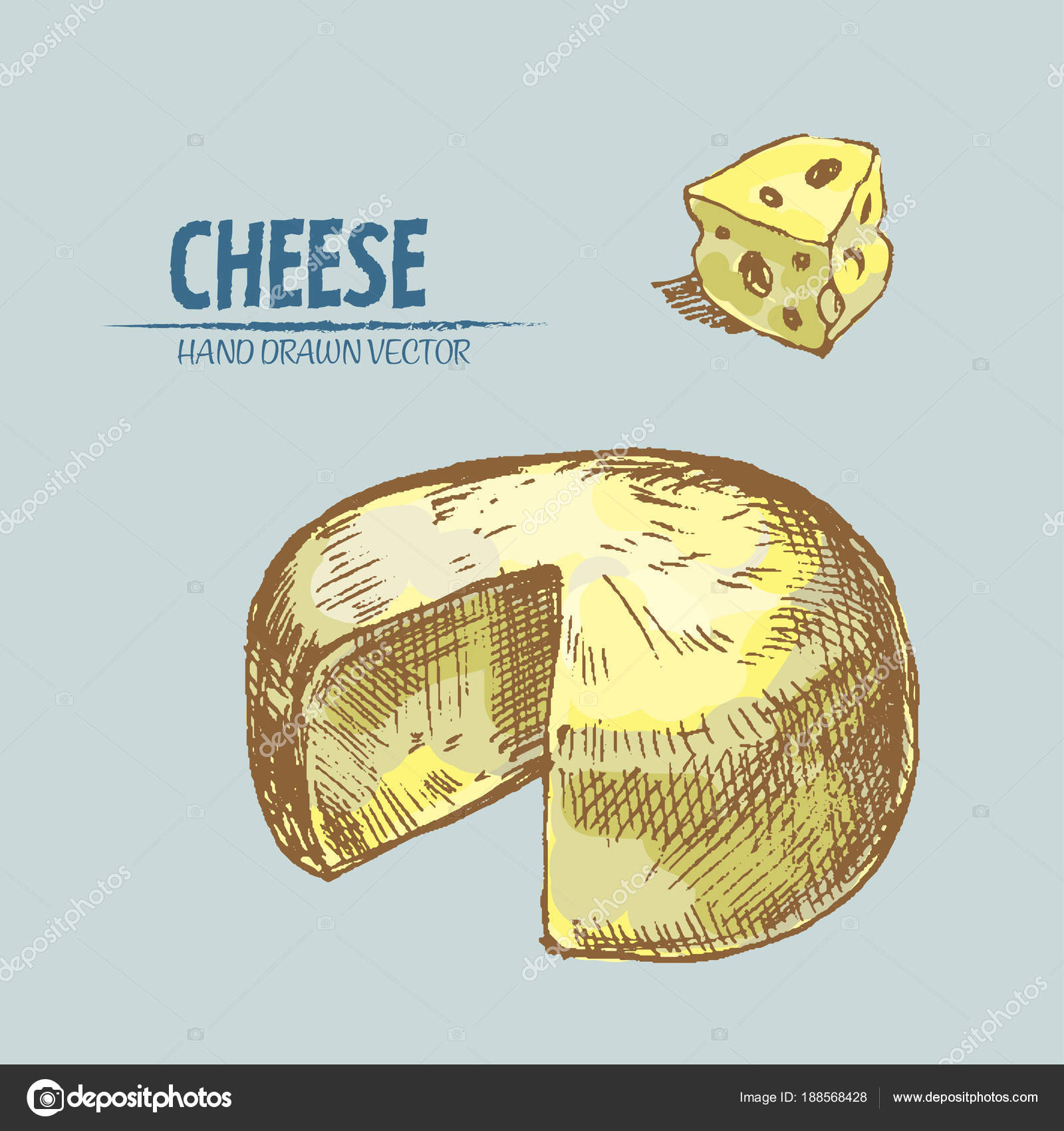 Digital vector detailed line art sliced cheese Stock Vector by ...