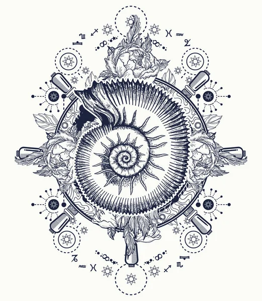 ᐈ Ammonite line drawing stock vectors, Royalty Free ammonites ...