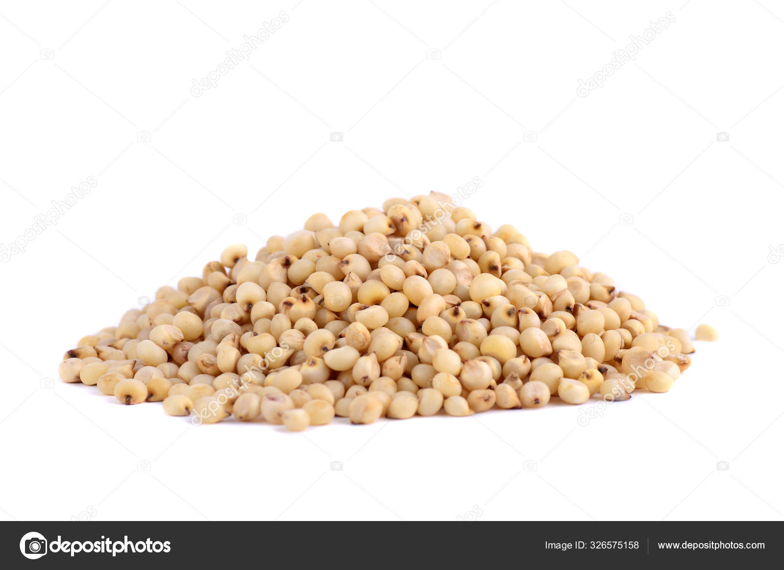 Heap Jowar Sorghum White Background Close Stock Photo by ©DipakShelare ...