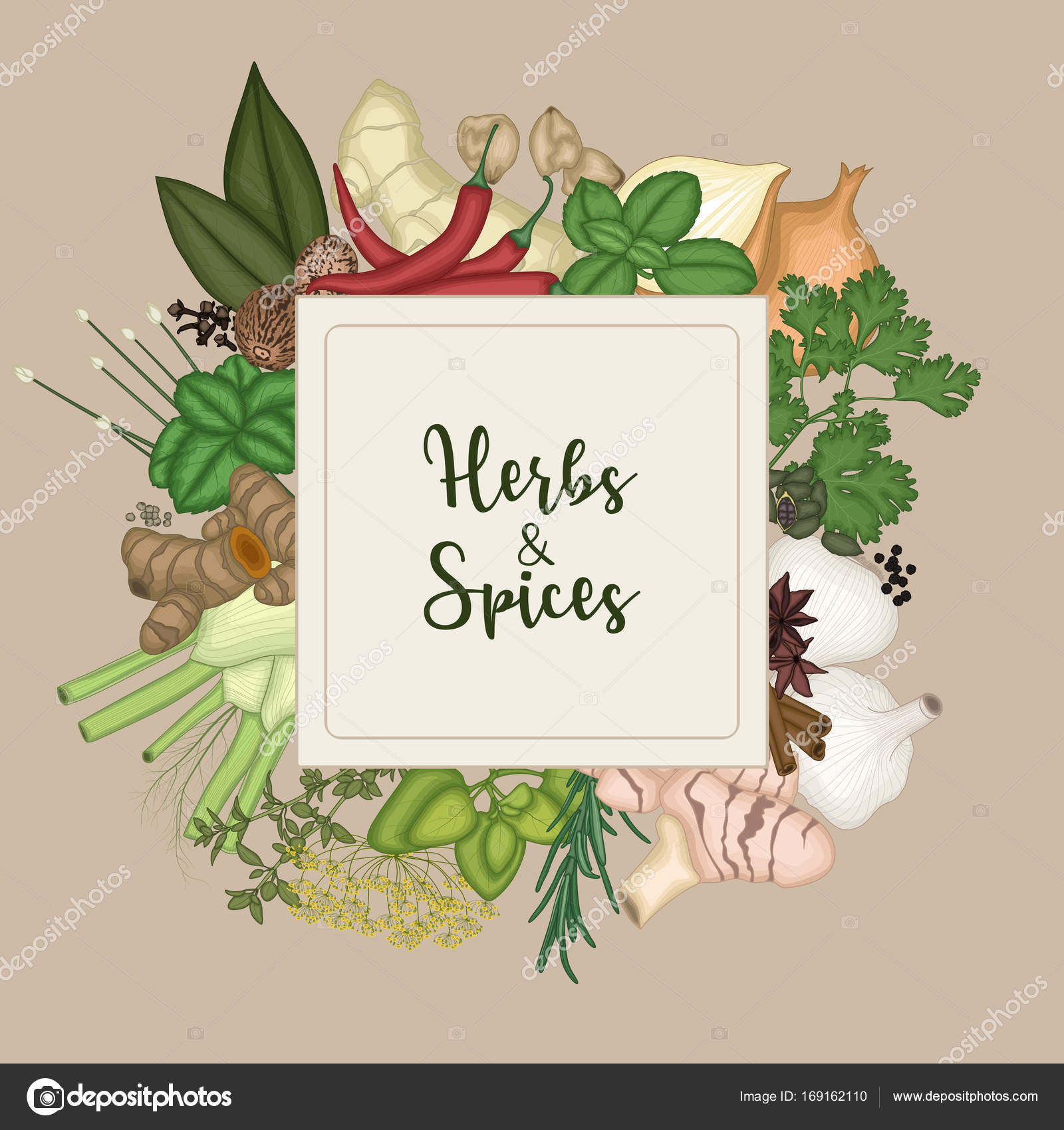 Square design background with spices and herbs Stock Vector Image by ...
