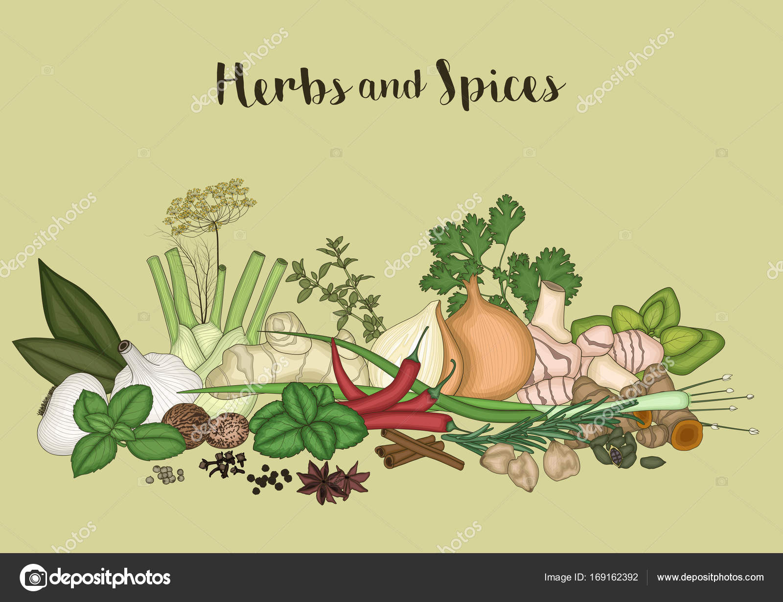 Herbs and spices background Stock Vector Image by ©artnovi #169162392