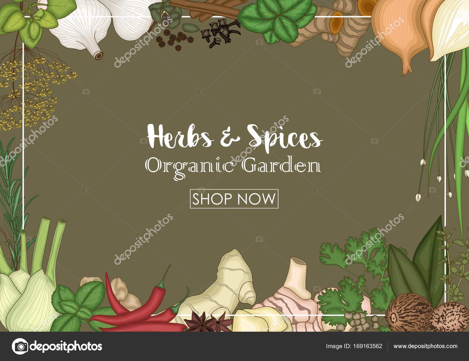 Herbs and spices decorative background Stock Vector Image by ©artnovi ...