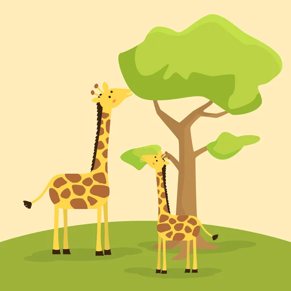 Giraffes Eating Together - Stock Image - Everypixel