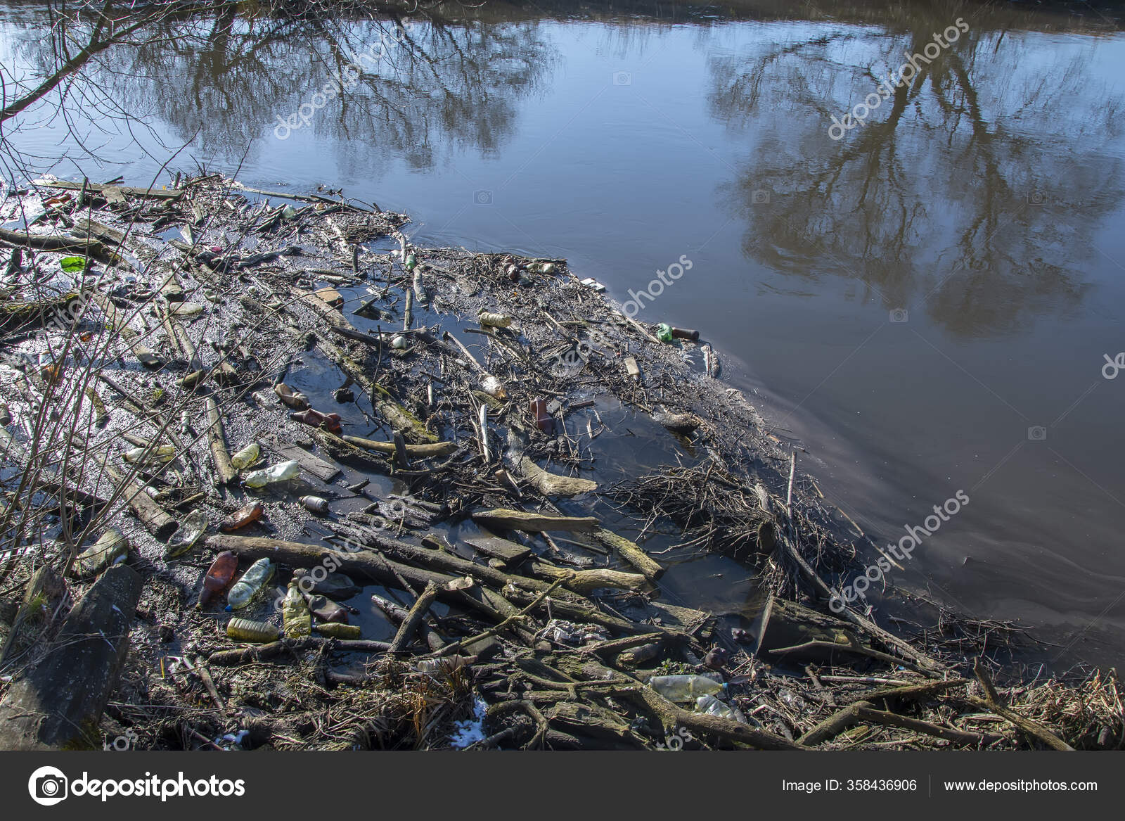 Dam Sticks Debris Floating River Environmental Pollution Water ...