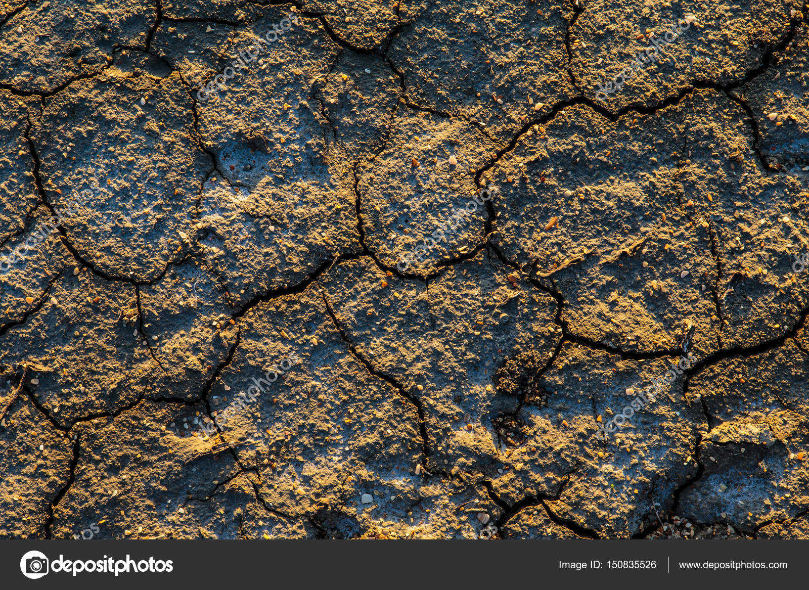 The texture of the surface of the earth that has cracked from dr ...