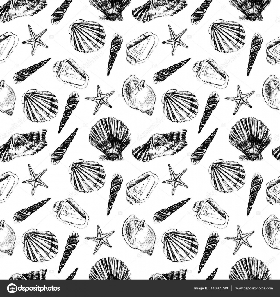 Seashells hand drawn vector graphic etching sketch isolated on white ...