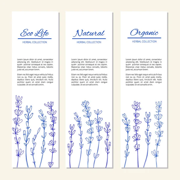 2,707 Lavender leaves Vector Images, Lavender leaves Illustrations ...