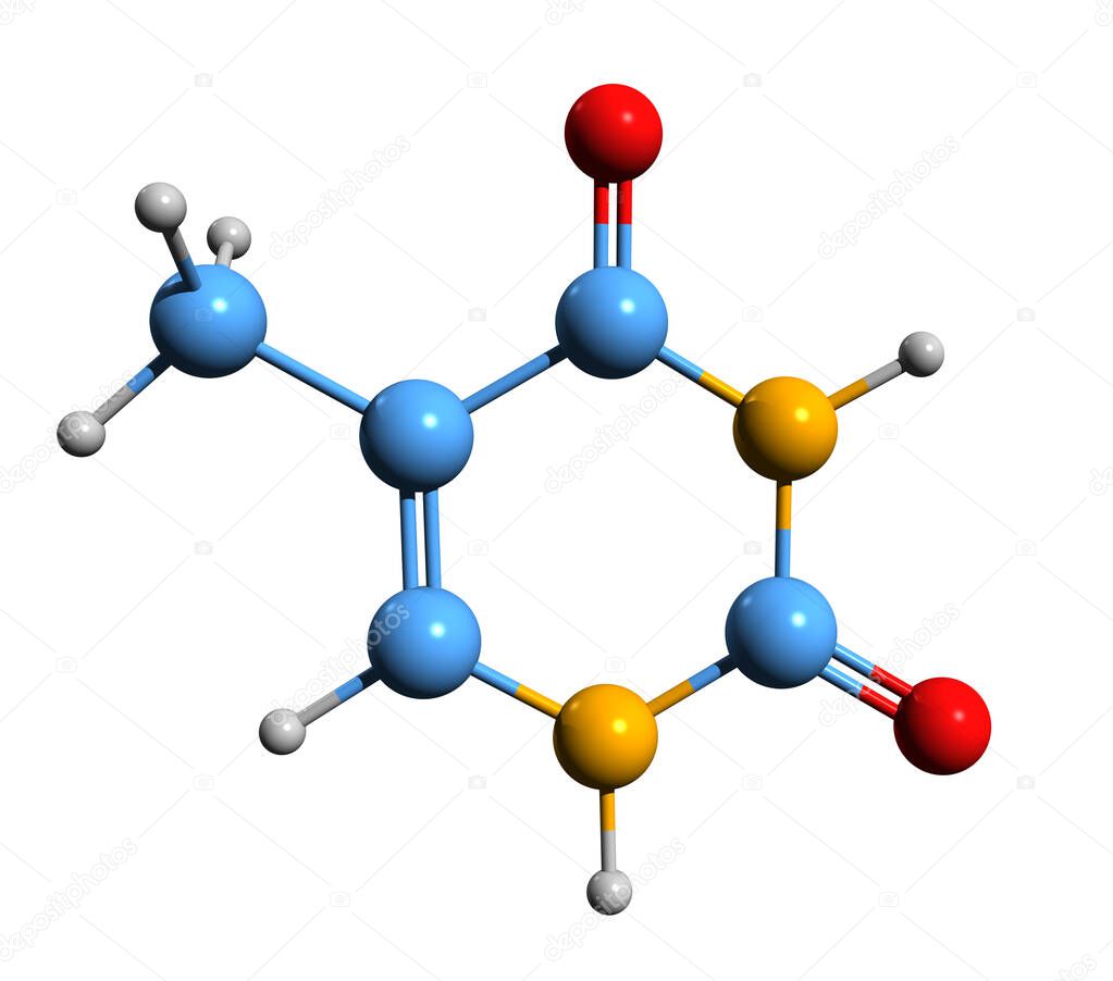 Imagen 3D de la fórmula esquelética de timina - estructura química ...