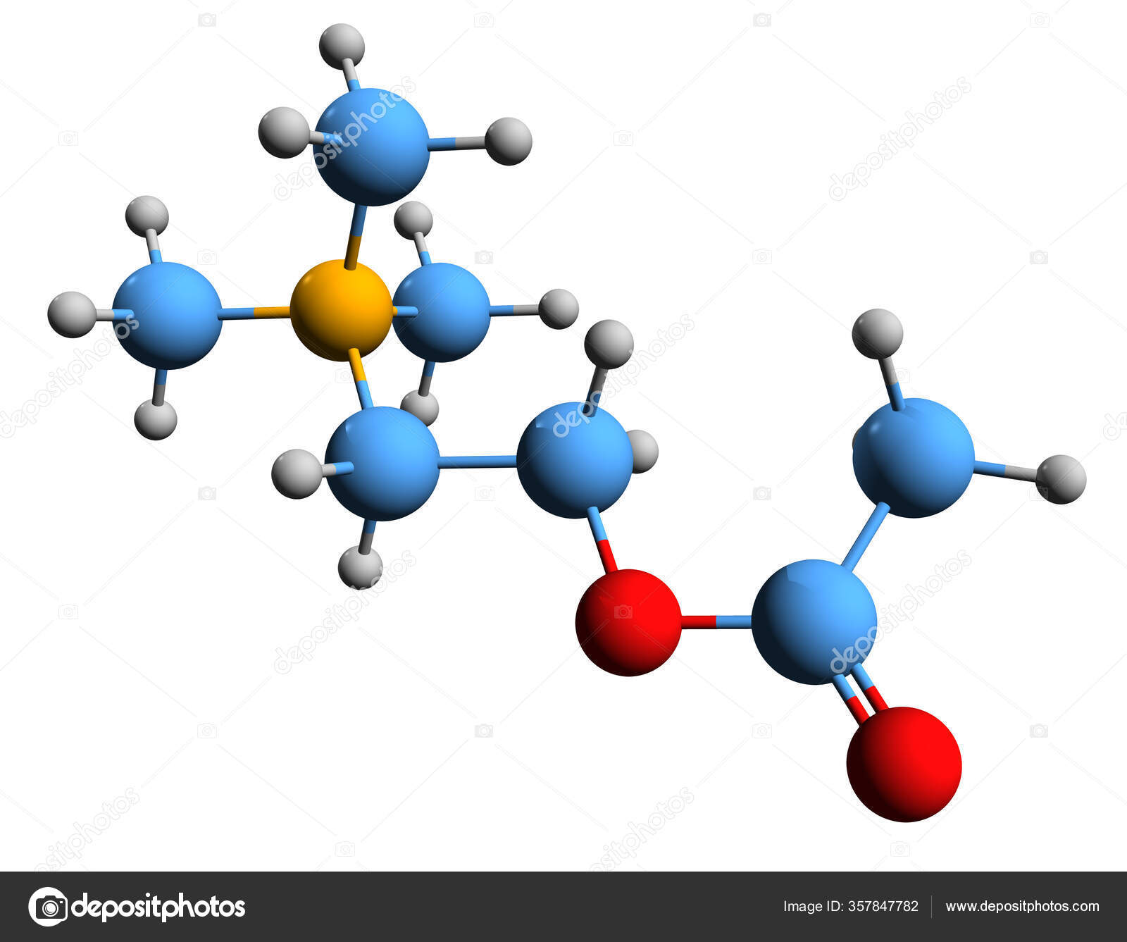 Acetylcholine Neurotransmitter