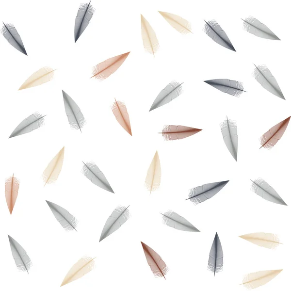 ᐈ Plumule stock images, Royalty Free plumule vectors | download on ...