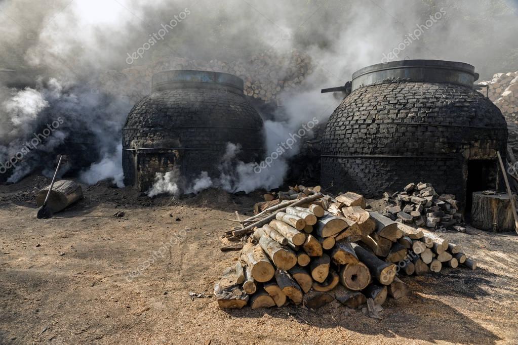 La producci n de carb n vegetal de manera tradicional en el bosque 2024