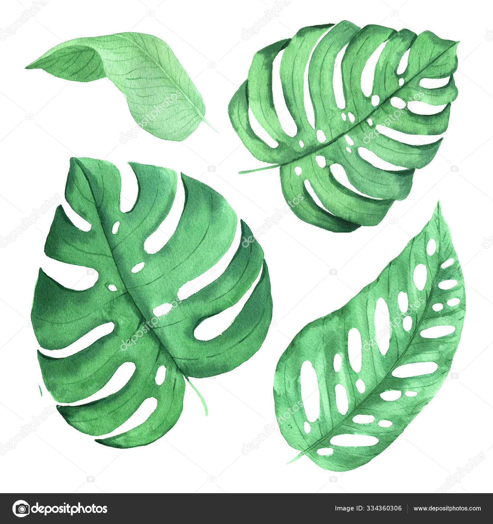 Watercolor hand painted tropical leaves ⬇ Stock Photo, Image by ...