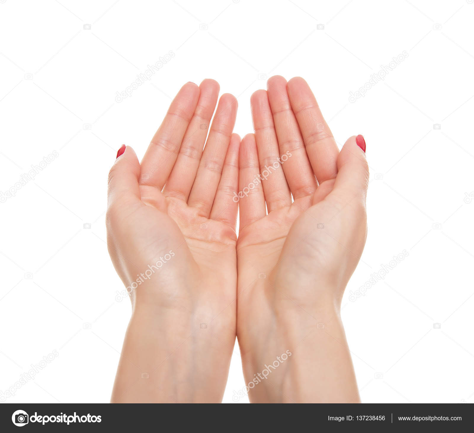 Womens hands, palms up. Stock Photo by ©tanya.rozhnovskaya@gmail.com ... Womens hands, palms up. Stock Photo by ©tanya.rozhnovskaya@gmail.com ...