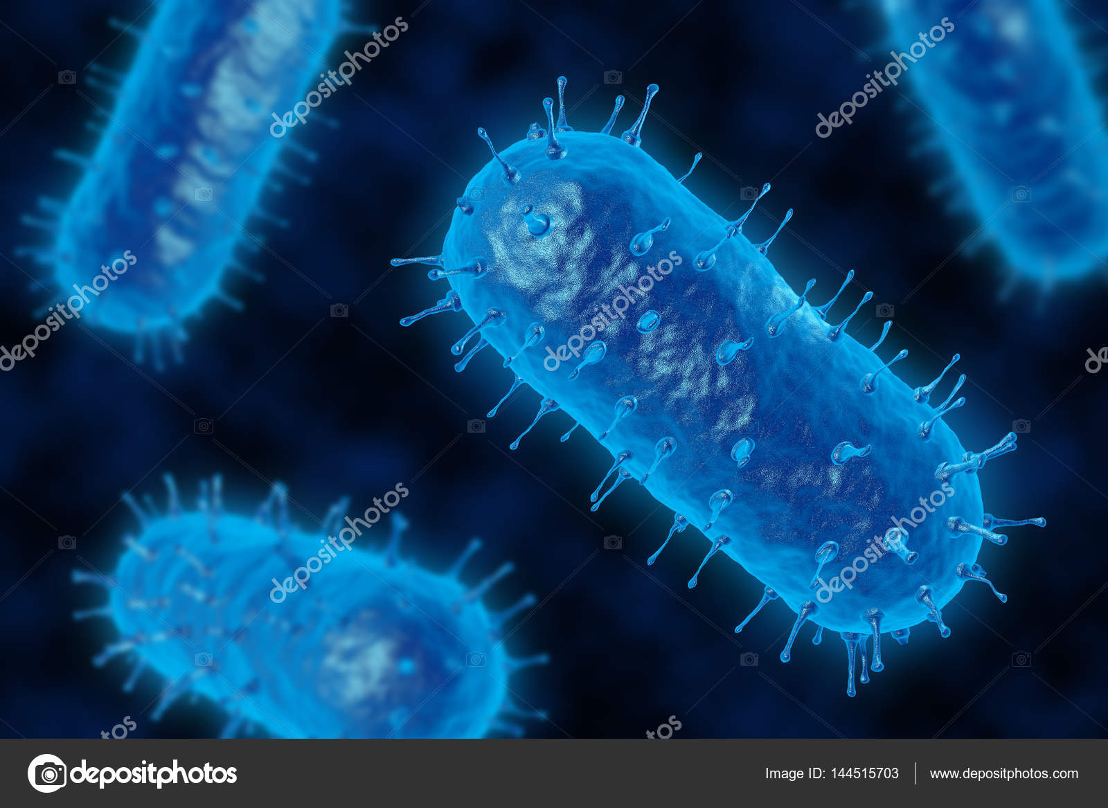 Spherical Bacteria Microscope