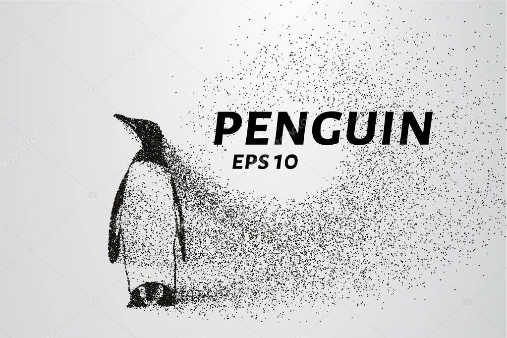 Ping ino de las part culas. El ping ino consiste en c rculos y puntos. Ilustraci n de vectores 2024