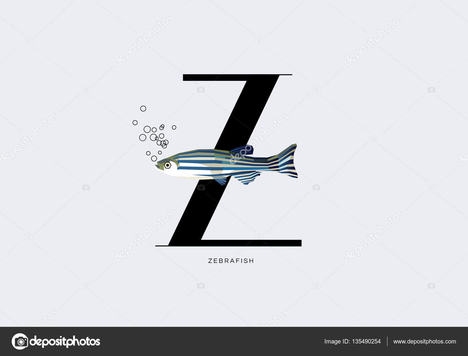 Letter Z decorated with Zebrafish Stock Vector Image by ©DianaHlevnjak ...