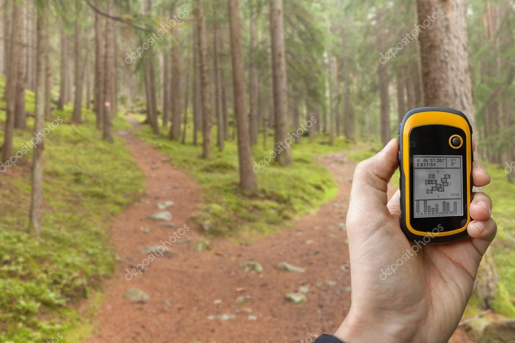 Finding the right position in the forest via gps ( blurred background ...
