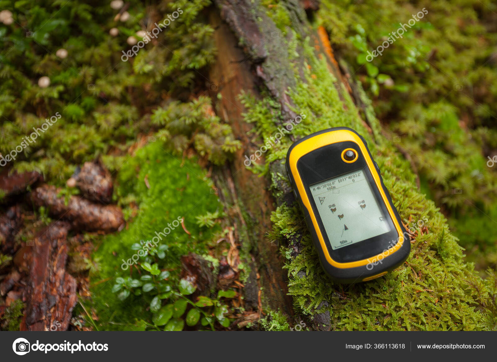 Finding Right Position Forest Gps — Stock Photo © tonellophotography ...