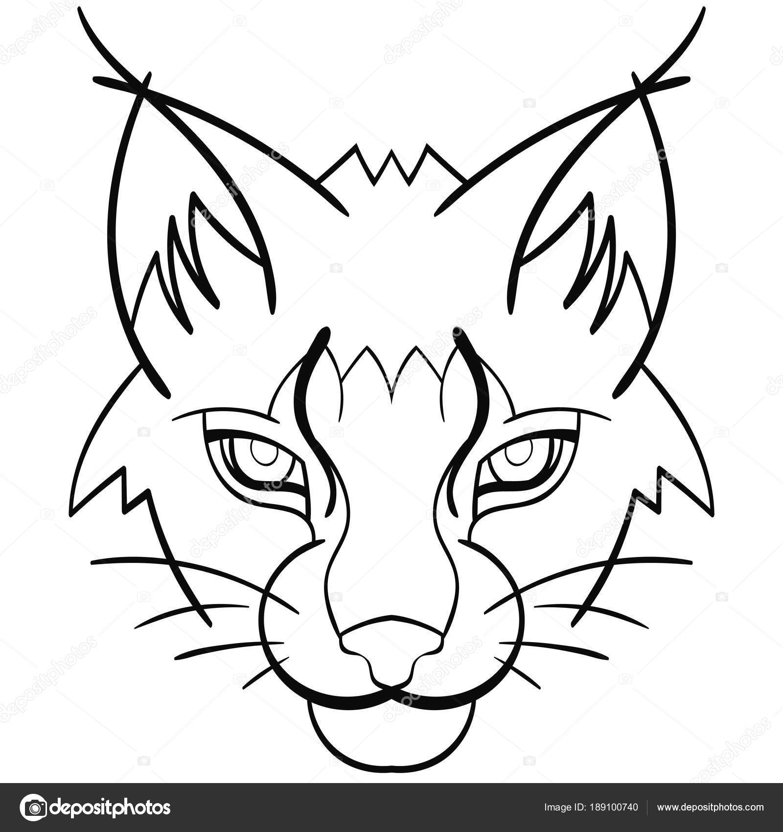 Lynx Bobcat Head Tattoo — Stock Vector © shesaysboo #189100740 Lynx Bobcat Head Tattoo — Stock Vector © shesaysboo #189100740