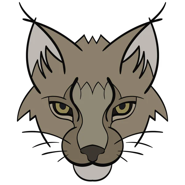 Lynx Bobcat Head Tattoo — Stock Vector © shesaysboo #189100740 Lynx Bobcat Head Tattoo — Stock Vector © shesaysboo #189100740
